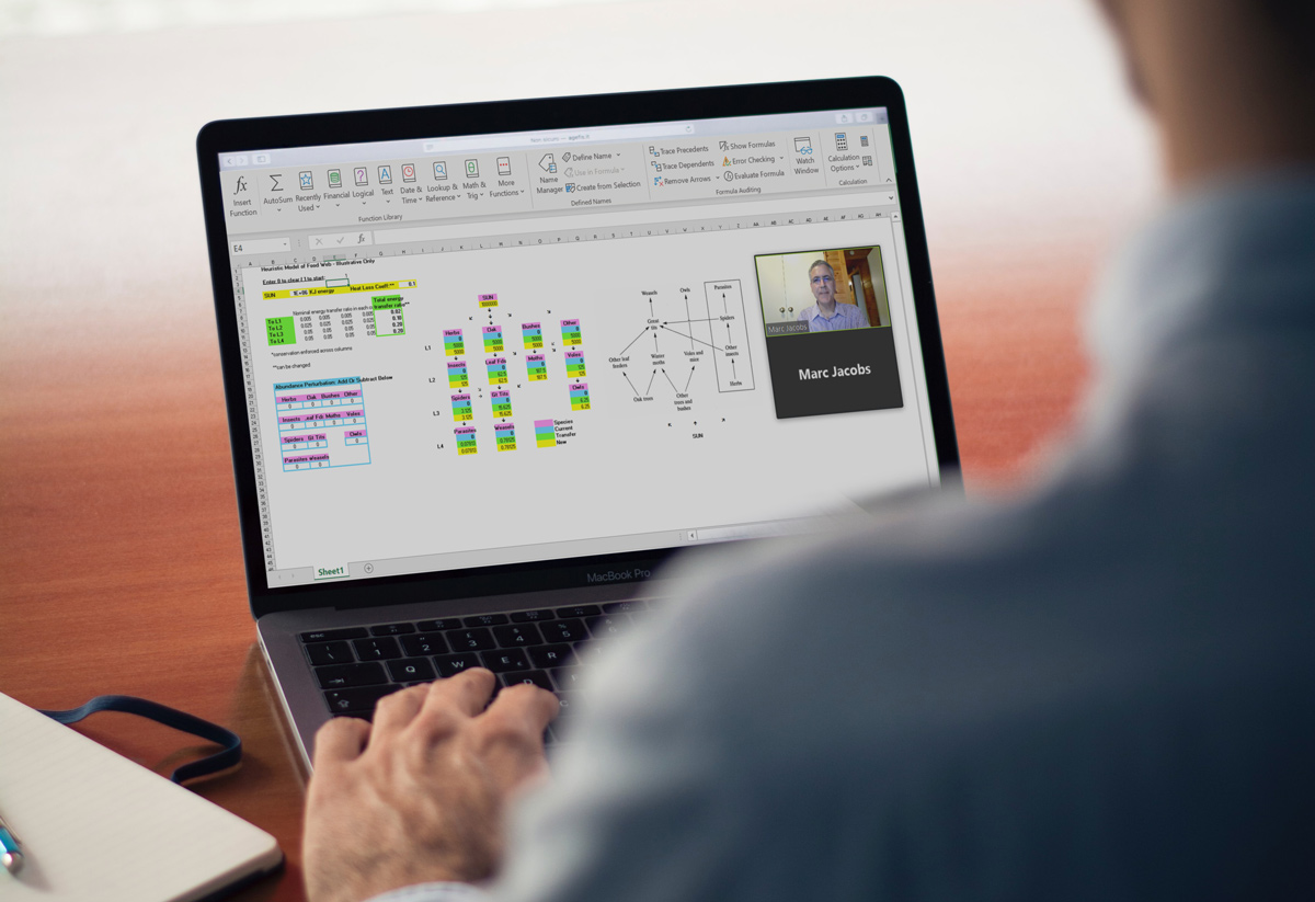 Programme Delivery - The University of Auckland International College